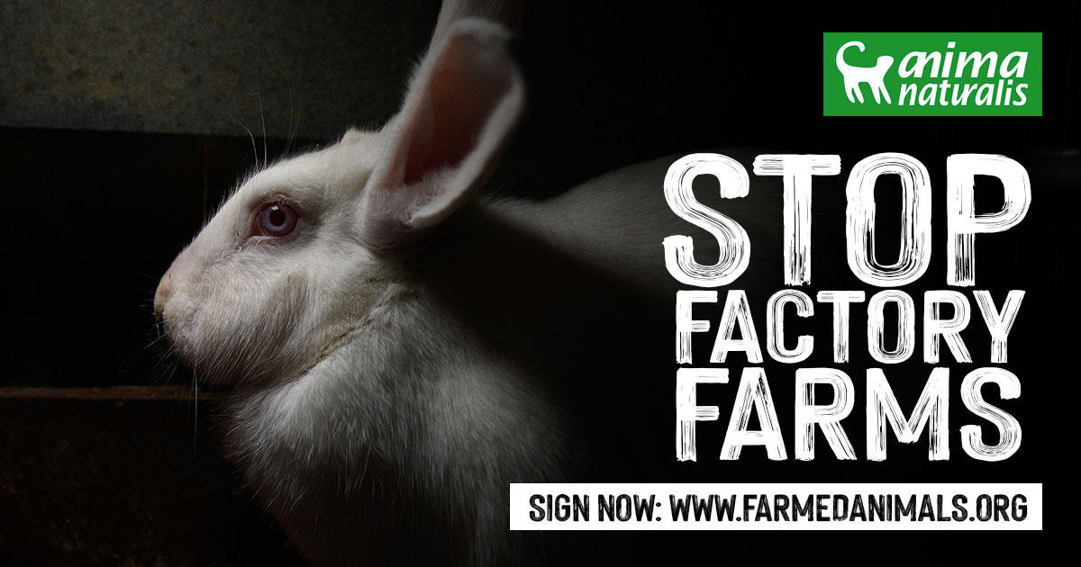 Let's shut down factory farms once and for all | FarmedAnimals.org